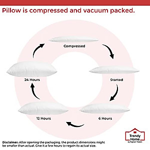 Trendy Home 12x20 Throw Pillow Insert (pack of 2, White), Bed and Couch Pillows Stuffer Hypoallergenic, Lumbar Support Decorative Home Outdoor Pillow Filler (Non Woven, 2 Pack)