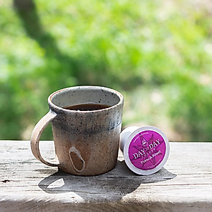 Day To Day 120-Count French Roast, Dark Roast Single Serve Coffee Pods for K Cups Keurig Brewers (French Roast, 120 Count (Pack of 1))