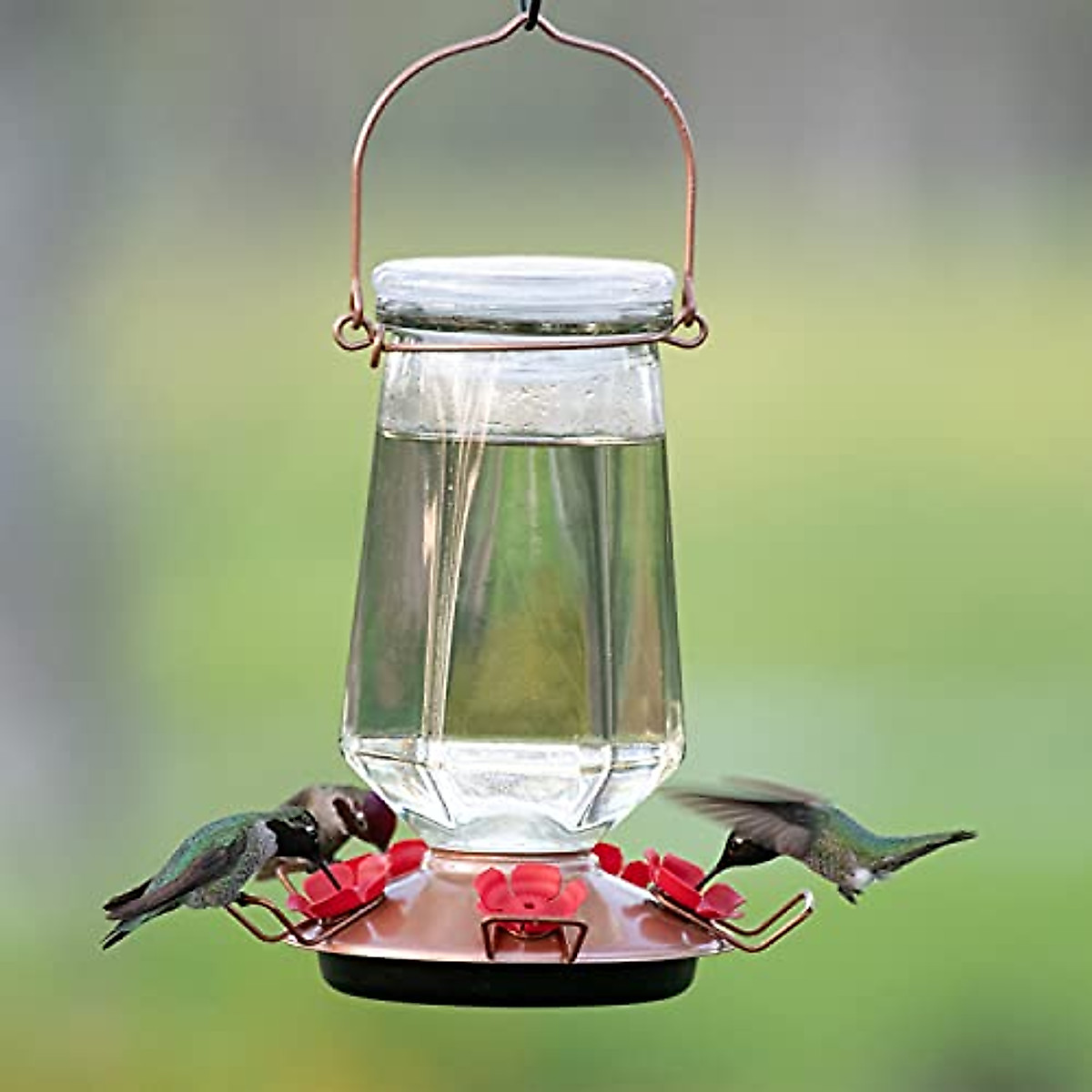 Perky-Pet Perky Pet 9109-1SR Crystal Top-Fill Glass Hummingbird Feeder – 28 oz, Bronze