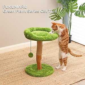 Cat Scratching Post, 20" Plant Style Kitten Scratcher, FUKUMARU Solid Wood Cat Post with Bed, Small Cat Tower Tree with Natural Jute Rope for Indoor Kitten & Cats