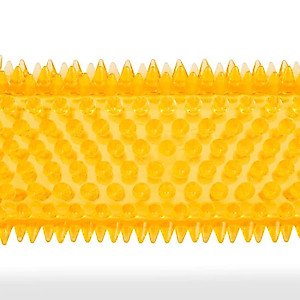 Leaps & Bounds Spiny Bone Assorted Chew Toy for Dogs Large