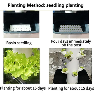 Hydroponic Growing System, DIY Garden Hydroponic Growing System, Indoor Herb Garden Kit with Hydrating Pump, Adapter, Net Pots, Timer,(Color:15holes,Size:)