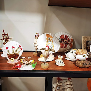 QICQDRAM 25PCS Sea Shells for Crafts Decoration 2''-3'' White Scallop Shells, for Crafts DIY Painting Beaching Wedding Decoration, Beach Natural Scallop Shells Bulk