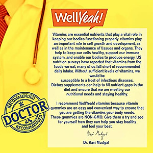 WellYeah Melatonin Gummies 20mg (2 Pack) - Naturally Sourced Flavors - Drug-Free Gummy Supplement - Gluten Free and Gelatin Free, Vegetarian - 60 Gummies