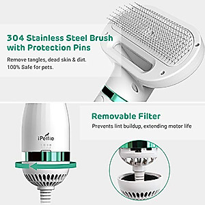 iPettie Pet Hair Dryer 2 with Slicker Brush, 3 Heat Settings, One-Button Hair Removal, Portable Dog Blower, Professional Home Grooming Furry Drying for Small Large Cat Dog