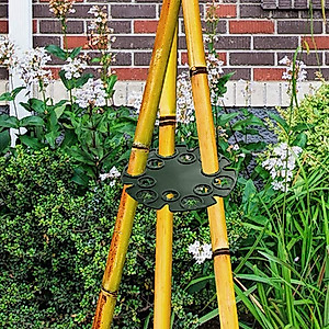 Bamboo Cane Holder Plastic Plant Support Garden Stakes Connector Caps Climbing Plants Growth Aids 12 Holes for Sweet Peas Beans Tomatoes Cucumbers 5 Pack