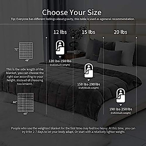 immtree Sherpa Fleece Weighted Blanket 12lbs for Adult, Soft Flannel Shaggy Cozy Fuzzy Fluffy Heavy Hug Blanket, Dual Sided Sofa Bedding Bed Sofa Blanket for Better Sleep, 48 x 72 inches, Grey