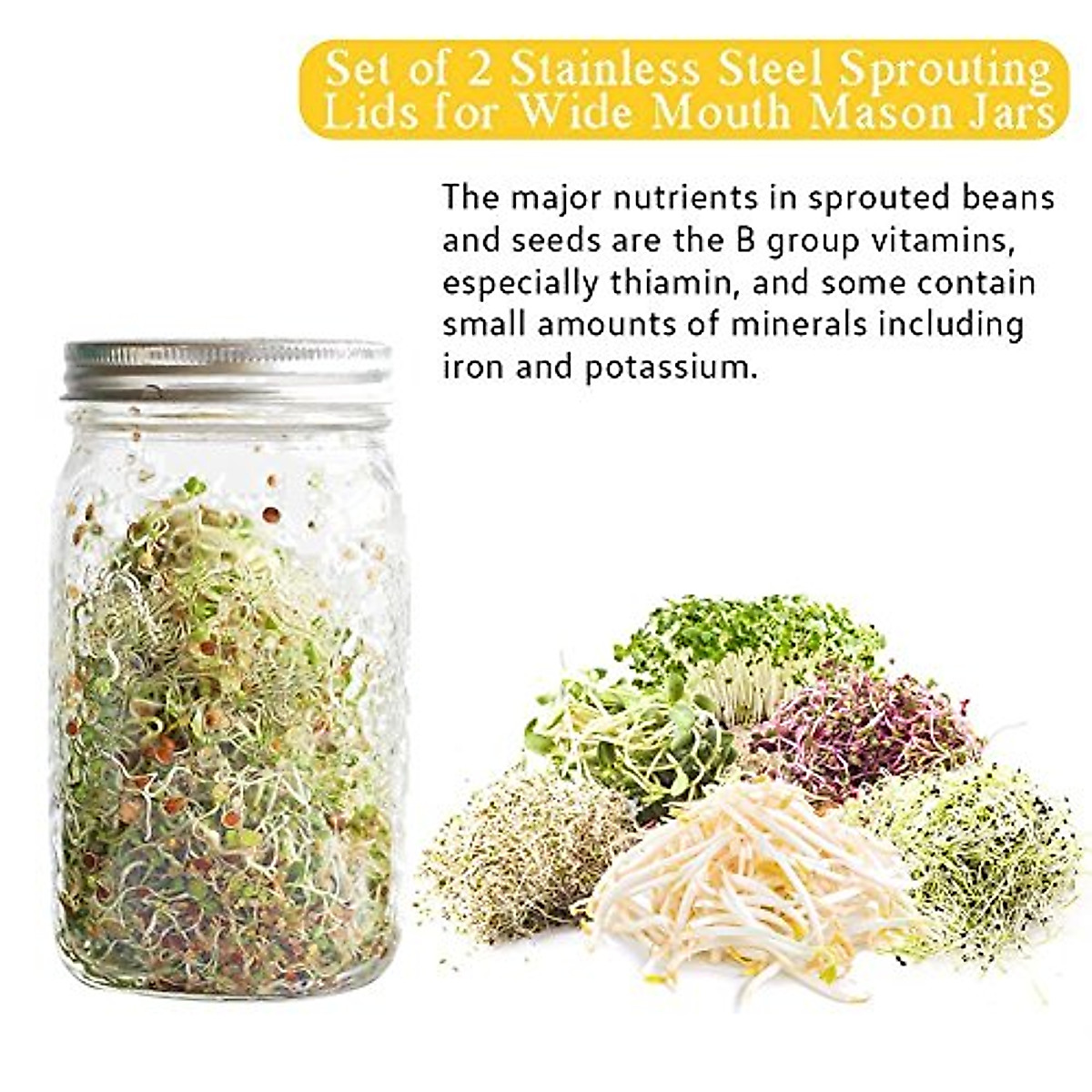 Sprouting Jar Strainer Lid - For Growing Organic Sprouts & Sprouter Screens - 304 Stainless Steel