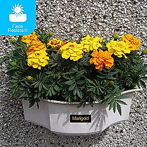 KCMYTONER Label Tape Refills Compatible for Brother P-Touch TZ TZe 344 AZE Laminated Gold on Black Tape 3/4 Inch 0.7" 18mm for PTD400 D450 D600 PTP710BT PTH300LI H500LI PTP700 P750W PT2730, 5 Pack