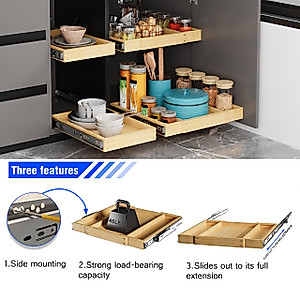 LOCVCDA Expandable Pull Out Cabinet Organizer, 16.3"~25.9"x22" Adjustable Width Wood Cabinet Pull Out Shelves Slide Out Wooden Drawer Storage Shelves for Kitchen(Style 2/1pack)