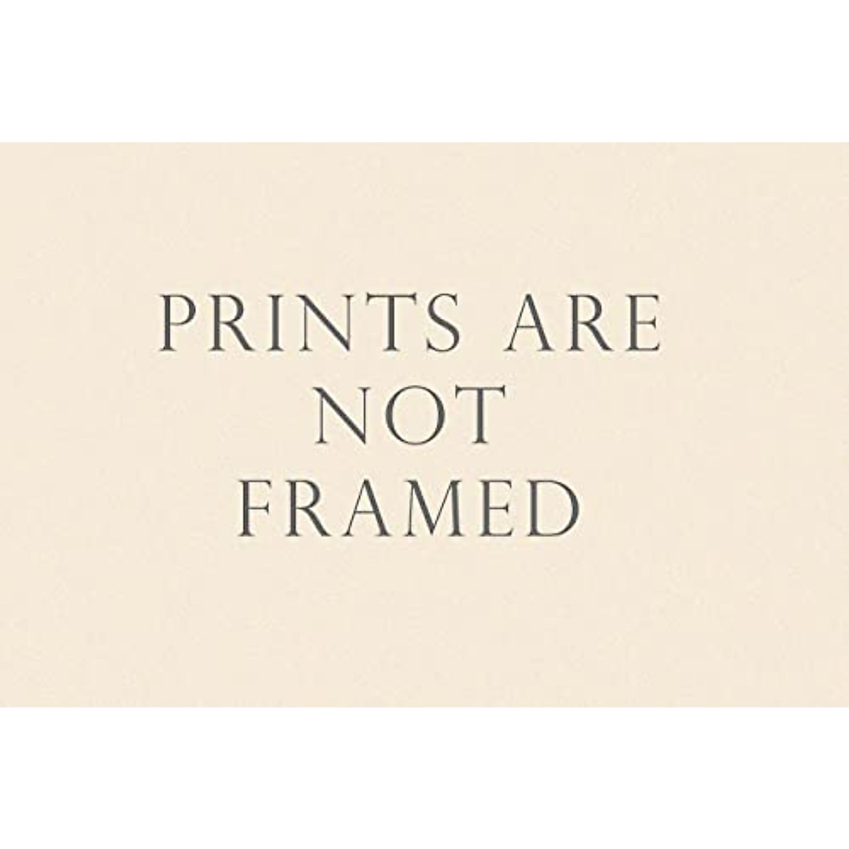 Nature Photography Print (Not Framed) Picture of Angel Oak Tree on Summer Day near Charleston South Carolina Southern Wall Art Lowcountry Decor (4" x 6")