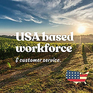 Organic Italian Herb Garden Seed Collection - 5 Non-GMO, Organic Seed Packets - Oregano, Thyme, Basil, Sage, Cilantro - Kitchen Culinary Herb Gardening Seeds