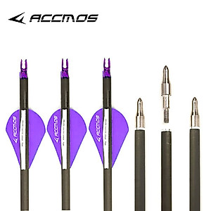 12pc ID 6.2mm .244" Custom Length 22-30 Inch Carbon Arrows Spine 350 400 500 600 Target Practice & Hunting Arrow Rotatable Nock for Recurve Bow Compound Bow Adult Youth Shooting Purple