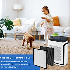 Extolife 2 Pack Vital 200S True HEPA Replacement Filter for Levoit Vital 200S Air Puri-fier, 3-in-1 H13 True HEPA with Activated Carbon Filter Set, Part Number Vital 200S-RF-PA (LRF-V201-YUS)