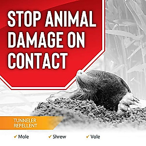 Mole & Vole Animal Stopper Granular Repellent - Safe & Effective, All Natural Food Grade Ingredients; Repels Moles and Voles; Ready to Use, 2.5 lb Shaker Jug