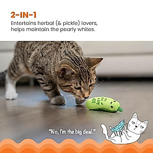 Catstages Crunchy Pickle Kicker Dental Catnip Cat Toy
