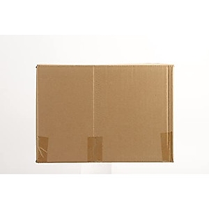 CGOLDENWALL 700g Electric Grain Grinder Mill Safety Upgraded 2400W High-speed Spice Herb Grinder Commercial Superfine Grinding Machine Dry Cereals Pulverizer CE 110V (700g Swing Type)