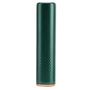 Professional Fogger Machine, 1000mAh Rechargeable Electric Fogger Machine, Handheld Atomizer Sprayer Atomizer Sprayer Machine Handheld Fogger Mist Machine for Home, Office, School, Garden(green)