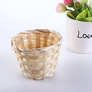 1PCS Portable Storage Basket,Bamboo Woven Basket Mini Storage Basket Desktop Plant Box for Garden(L)