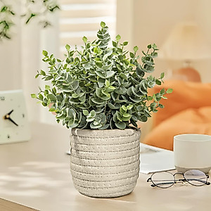 Hopewood Faux Plants, Fake Plants Eucalyptus Potted for Home Office Desk, Artificial Eucalyptus with a Weave Basket for Indoor Greenery Tabletop