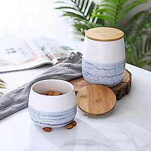 Food Storage Jar White Ceramic Food storage canister with Airtight Wooden Lid for serving Coffee, Tea, Sugar, Spice and More (1000ml)