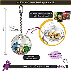 Birds LOVE 3" Hanging Clear Foraging Plastic Perforated Ball Unscrews, Put Bird Treats Inside, Comes w Vine Balls Inside, Bird Cage Medium to Large Bird Toy