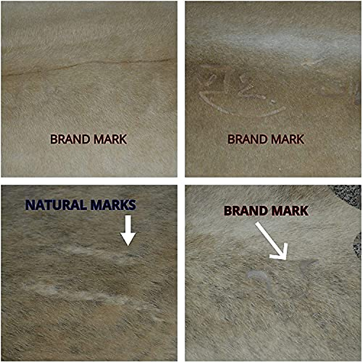 Premium Cowhides Dark Chocolate Medium Cowhide Rug 100% Natural Leather Rugs 84" x 72"