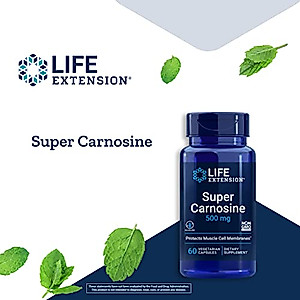 Life Extension Super Carnosine 500mg - For Muscle Recovery - L-Carnosine Supplement with Benfotiamine, Vitamin B1, Luteolin For Healthy Aging - Non-GMO, Gluten-Free - 60 Vegetarian Capsules