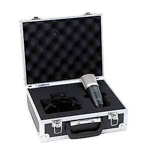 Roswell Pro Audio Mini K47 Large Diaphragm Condenser Microphone with Genuine K47 Capsule