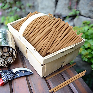 Gueevin 400 Pcs Mason Beehive Tubes 6 Inch Long Cardboard Beehive Nesting Tubes Nesting Paper Inserts for Outdoor Beekeeper's Garden House Hotel Condo Beehive Nest