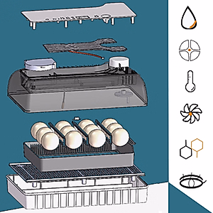 SSZYace 12-35 Egg Incubator, Incubators for Hatching Eggs with Automatic Turner, Egg Candler and Temperature Display, for Chicks, Quails, Ducks, Small Poultry