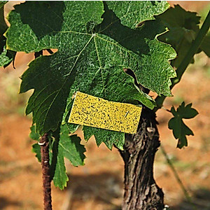 FGI SpotOn Water Sensitive Paper (WSP) for Sprayer Calibration - One Pack of 2 x3 Paper - 25 Sheets Per Pack - Reduce Waste and Ensure Consistent Application of Spray Droplets - Assess Spray Coverage