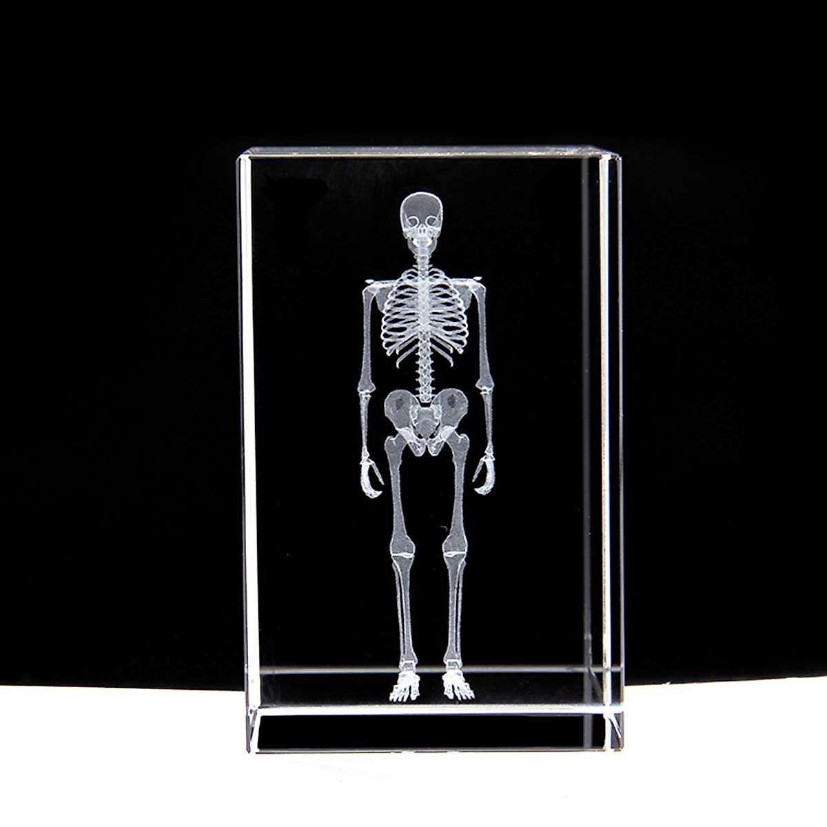 3D Human Skeleton Anatomical Model Paperweight(Laser Etched) in Crystal Glass Cube Science Anatomy Gift (No Included LED Base)(3.1x2x2 inch)