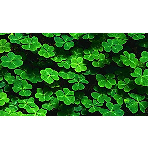 ATVADA Four Leaf Clover Seeds 300 Pcs Ground Dwarf Cover Garden Subterranean Micro Clover Seeds for Lawn