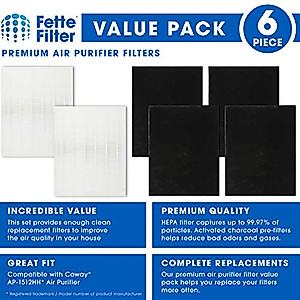 Fette Filter - 200M / AP-1512HH Premium H13 True Hepa Filter Set Compaible with Coway AP-1512HH AP1512HH AP-1512HH-FP Airmega 200M AP-1518R Airmega 200M(W) Includes 2 True Hepa Filter with 4 Activated Carbon Pre Filter Part # 3304899