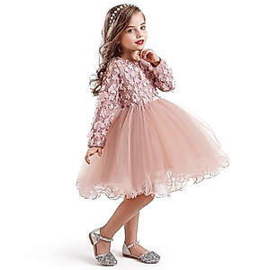 TTYAOVO Girls Longsleeve Lace 3D Flowers Tulle Layered Princess Party Dresses Size(140) 5-6 Years Dusty Pink