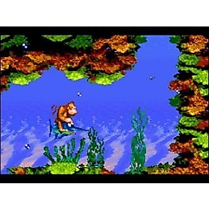 Donkey Kong Country (Renewed)