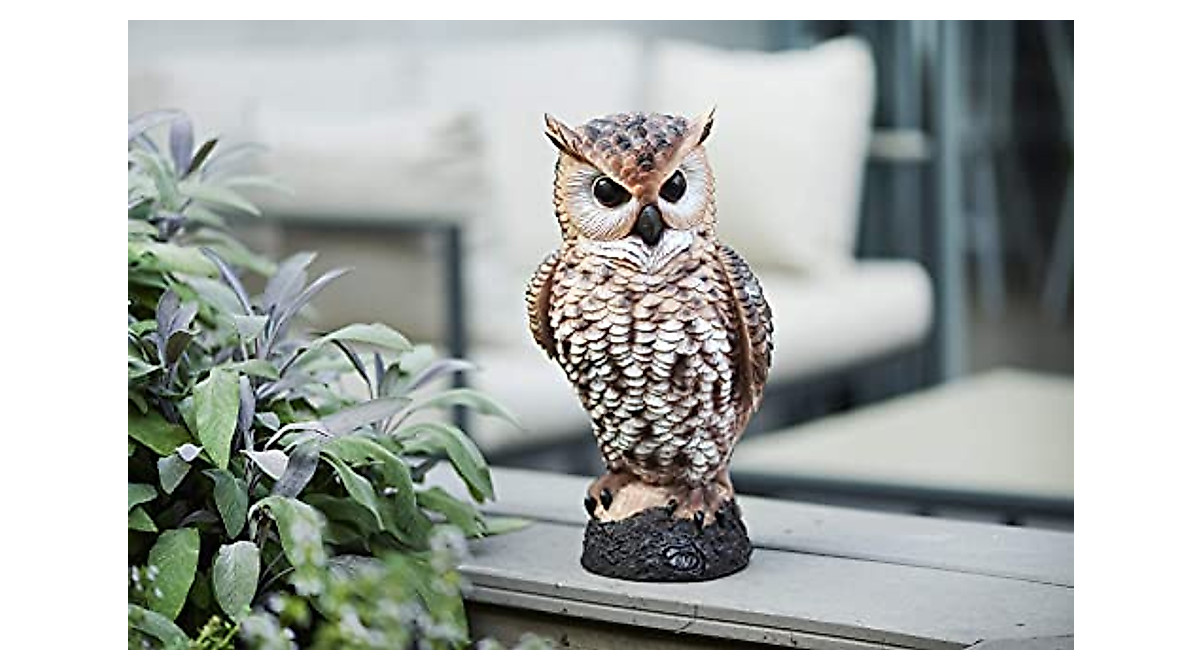 VA Resin Garden Owl Statue, Fake Owl, Fake Statue, Fake Owls, Garden ...