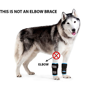 NeoAlly Dog Braces Front Leg Carpal Support Canine Wrist Braces with Safety Reflective Straps for Limping, Joint Pain, Lameness, and Loss of Stability from Arthritis (S/M Pair)