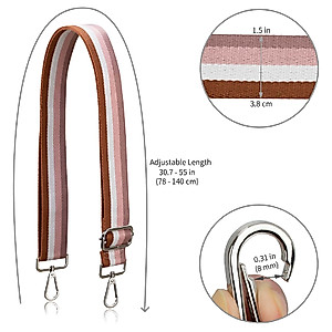 Allzedream Purse Strap Replacement Crossbody Handbag Stripe Wide Adjustable (Brown Pink, Silver Hardware)