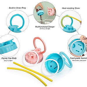 Mason Jar Lids, Wide Mouth Flip Cap Mason Lids with Straw Reusable Drinking Canning Lids Leak-proof Airtight Seal Easy Pouring Spout for Milk Coffee Lemonade Salad Dressings(Pink, Blue, 2)