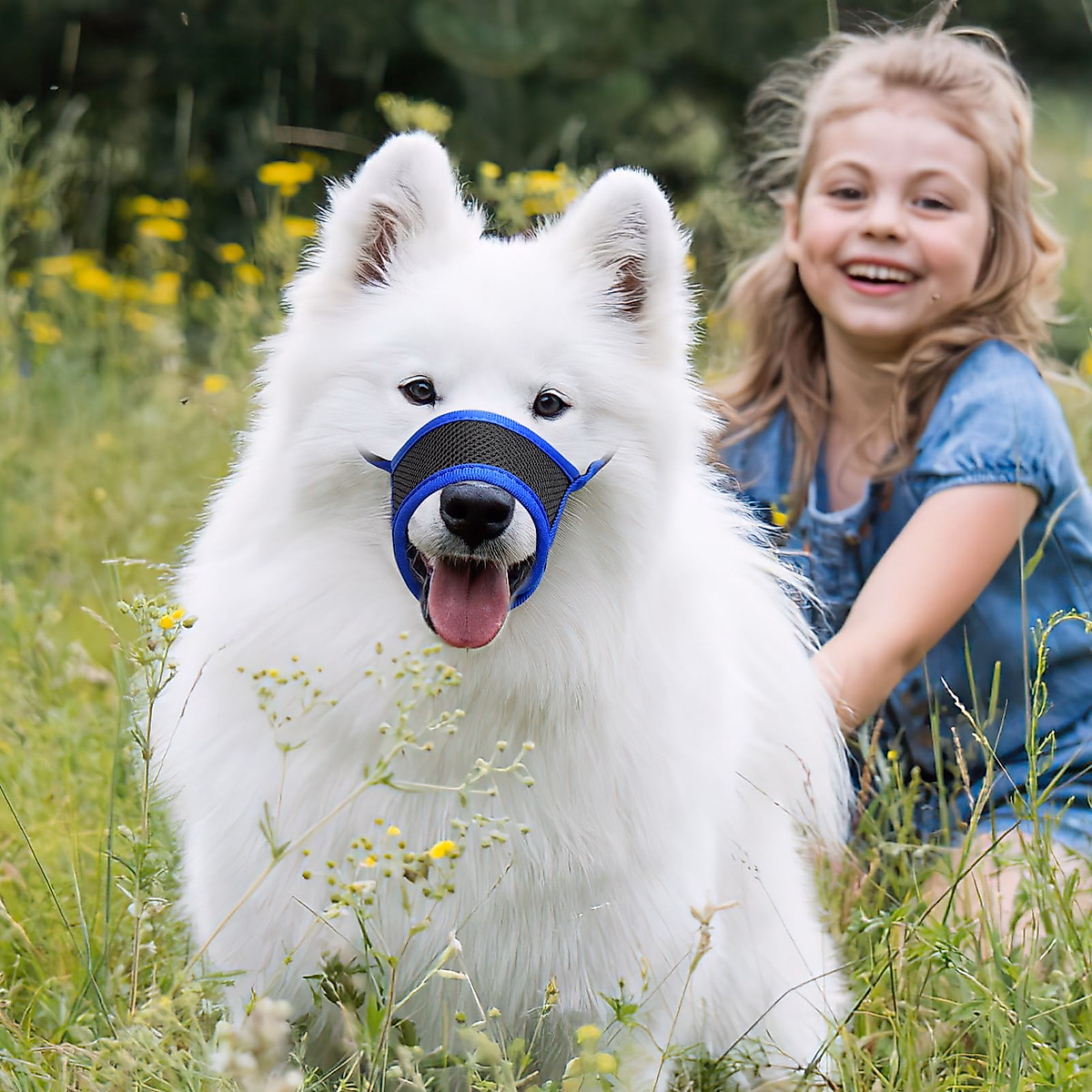 HEELE Dog Muzzle Nylon Soft Muzzle Anti-Biting Barking Secure,Mesh Breathable Pets Muzzle for Small Medium Large Dogs 4 Colors 4 Sizes (M, Blue)