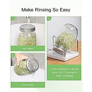RAYPLE Sprouting Jar Kit, 2 Wide Mouth Mason Jars, Premium Stainless Steel Screen Sprout Lids, Blackout Sleeves, Tray, Stand, Sprouting Kit for Growing Broccoli,Alfalfa,Mung Bean