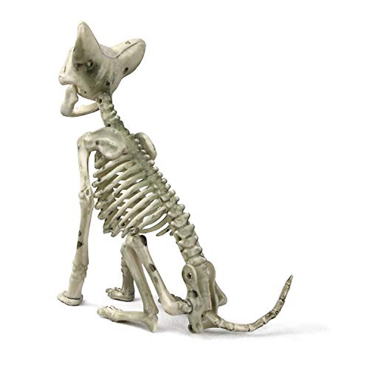 Supremask Skeleton Cat, Plastic Crouching and Sitting Cat Skeleton, Creepy Animal Bones for Halloween Decoration (Sitting)