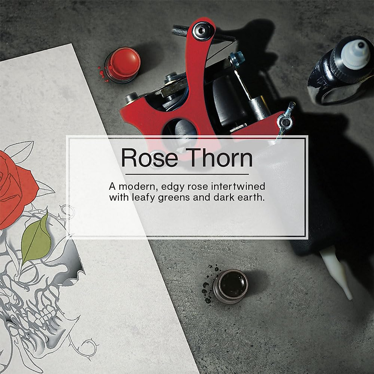 LITTLE TREES Air Fresheners Car Air Freshener. Hanging Tree Provides Long Lasting Scent for Auto or Home. Rose Thorn, 24 Air Fresheners