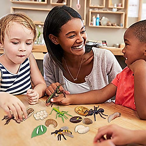 Toymany 16PCS Insect Figurines Life Cycle of Stag Beetle,Honey Bee,Mantis,Ant Plastic Safariology Bug Figures Toy Kit Caterpillars to Butterflies Educational School Project for Kids Toddlers