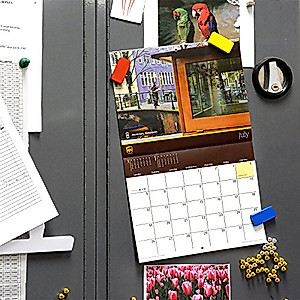 CMS Magnetics - (12-Pack Dominos Multi-Color) Colorful Super Strong Ceramic Domino Magnets for Dry Erase Whiteboards, Bulletins, Refrigerator, Office, Kitchen, School, Classroom