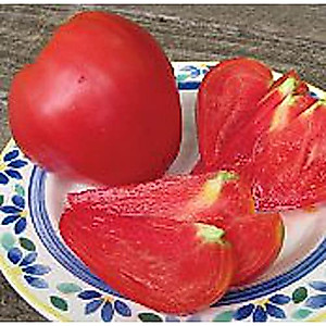 Anna Russian Tomato Seeds (20+ Seeds) | Non GMO | Vegetable Fruit Herb Flower Seeds for Planting | Home Garden Greenhouse Pack