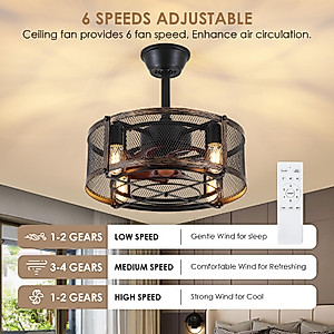 Dannilong Caged Ceiling Fans with Lights and Remote, Farmhouse Ceiling Fan with Light Bladeless, Small Ceiling Fan for Kitchen Bedroom Outdoor, 18 Inch Black Fandelier, Reversible Quiet Motor