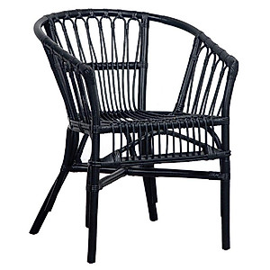 Safavieh Home Adriana Coastal Black Rattan (Set of 2) Accent Chair, 0